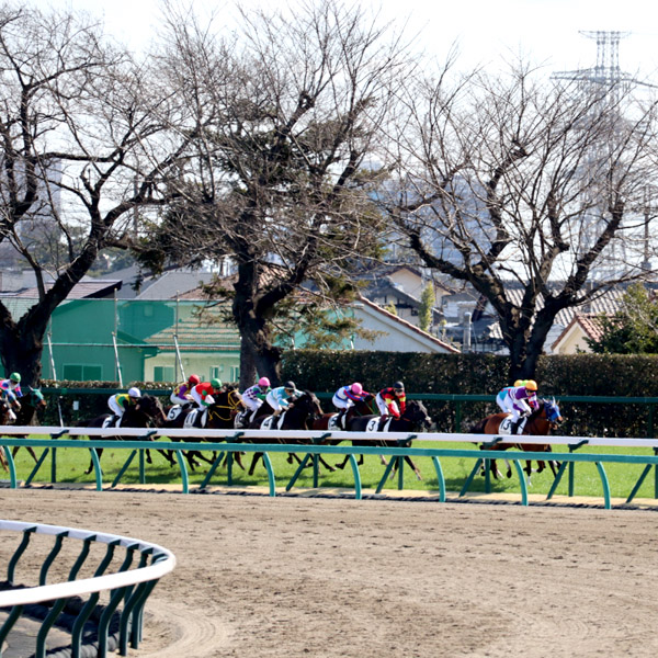 会員規約 | 茨城県馬牧場防疫協議会（umabo.jp）
