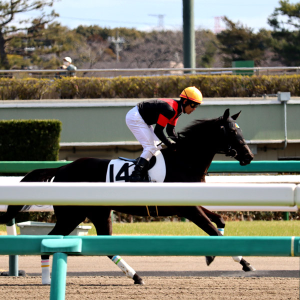 会員名簿 | 茨城県馬牧場防疫協議会（umabo.jp）