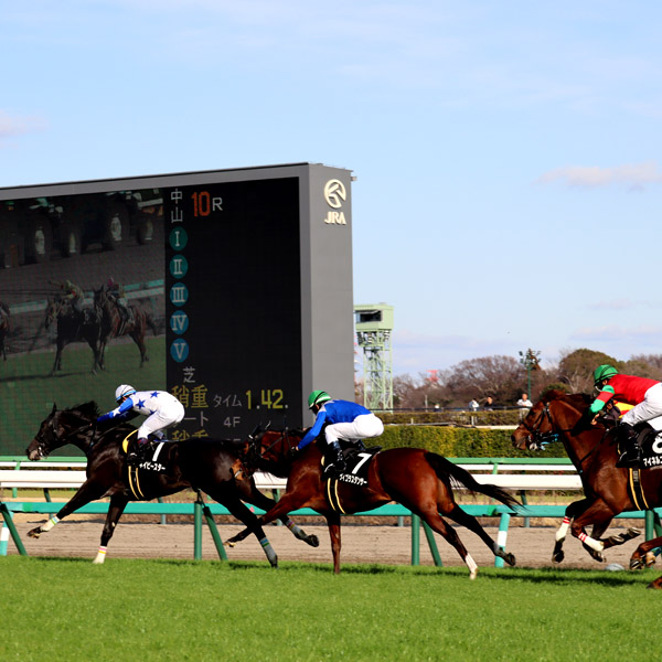 会員名簿 | 茨城県馬牧場防疫協議会（umabo.jp）